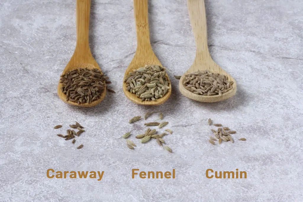 Fennel Vscumin Vscaraway What Are The Difference Knowledge